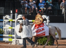 Tryon International Equestrian Center