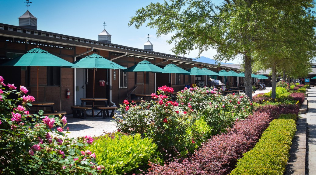 Tryon International Equestrian Center