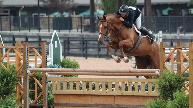 Tryon International Equestrian Center