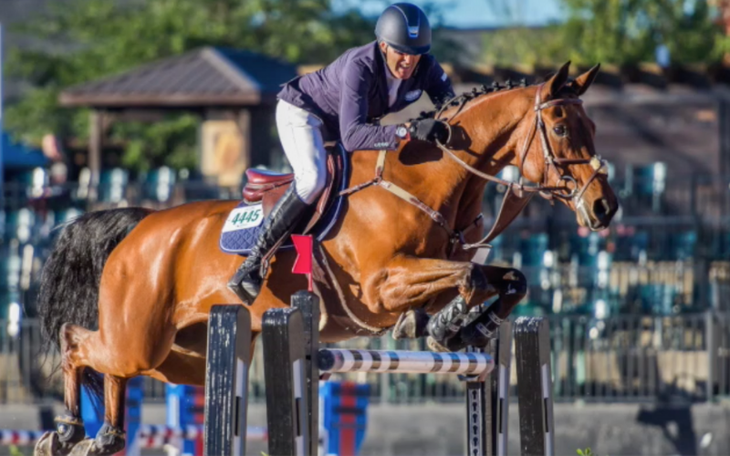 Tryon International Equestrian Center