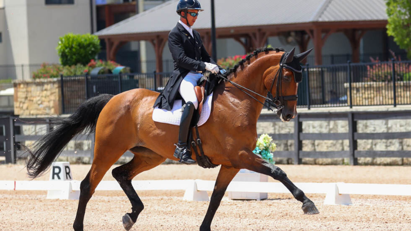Tryon International Equestrian Center