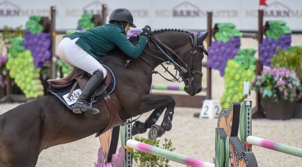 Tryon International Equestrian Center