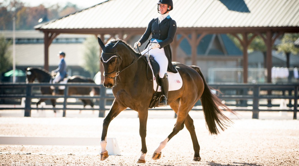 Tryon International Equestrian Center