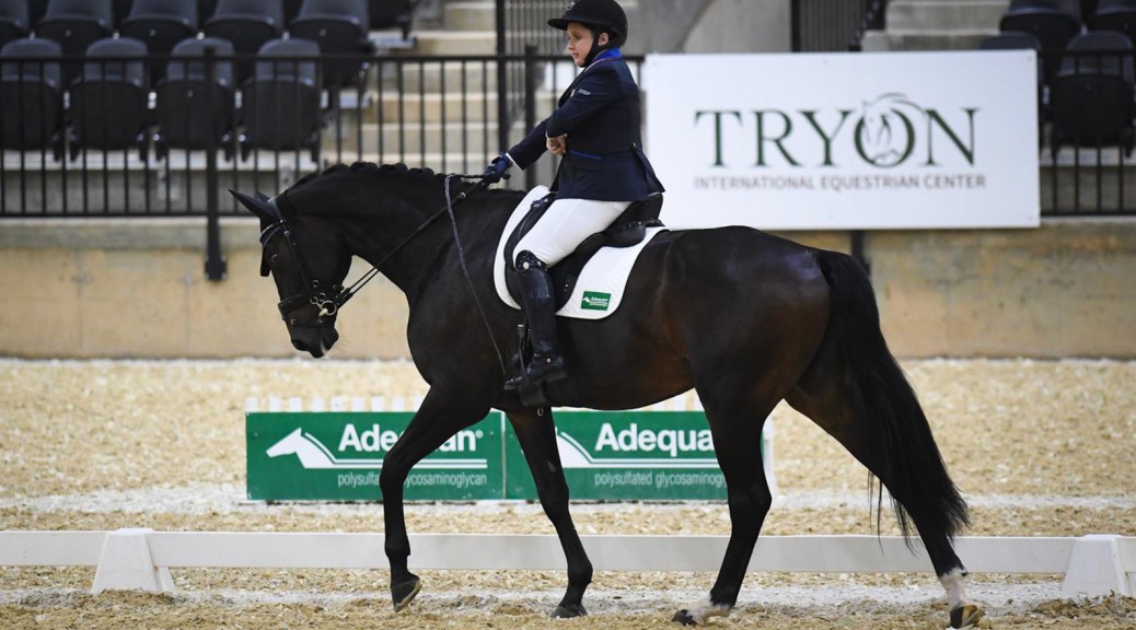 Tryon International Equestrian Center