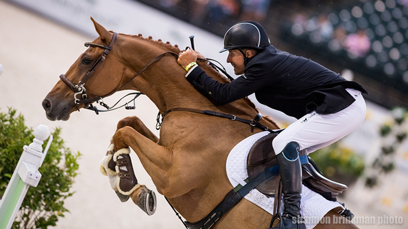 Tryon International Equestrian Center
