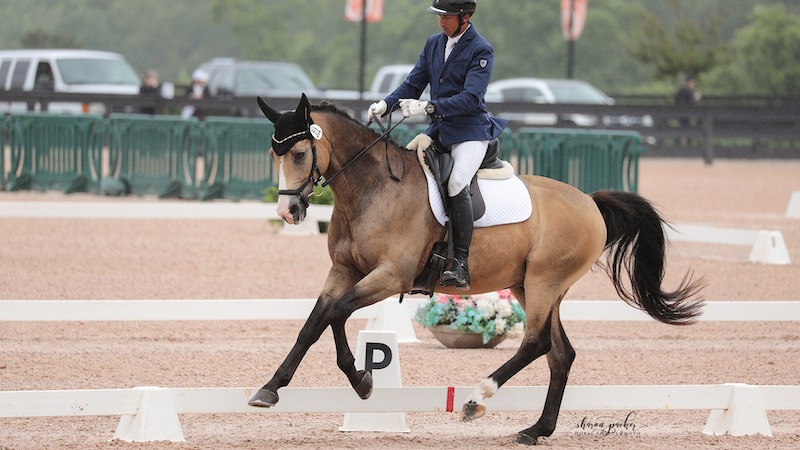 Tryon International Equestrian Center