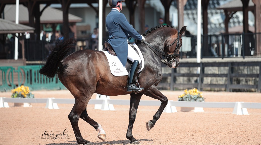 Tryon International Equestrian Center