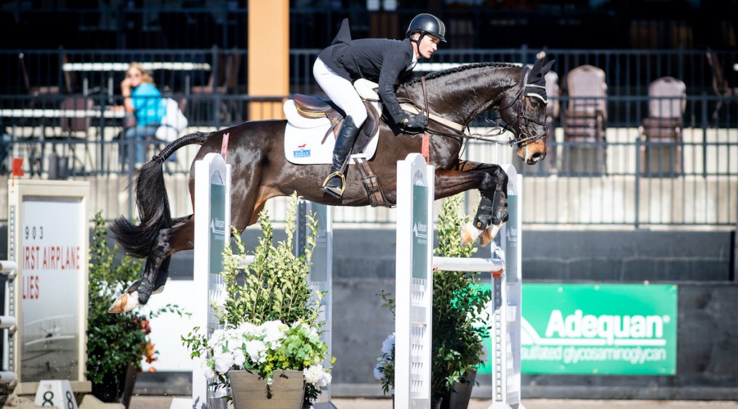 Tryon International Equestrian Center