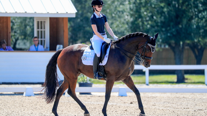 Tryon International Equestrian Center