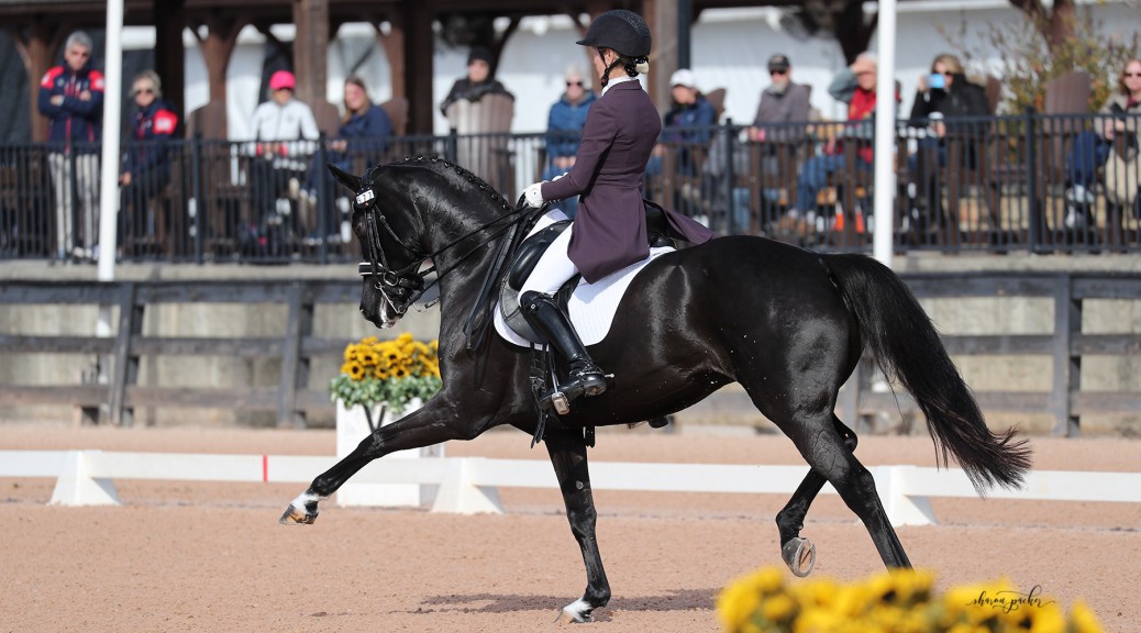 Tryon International Equestrian Center